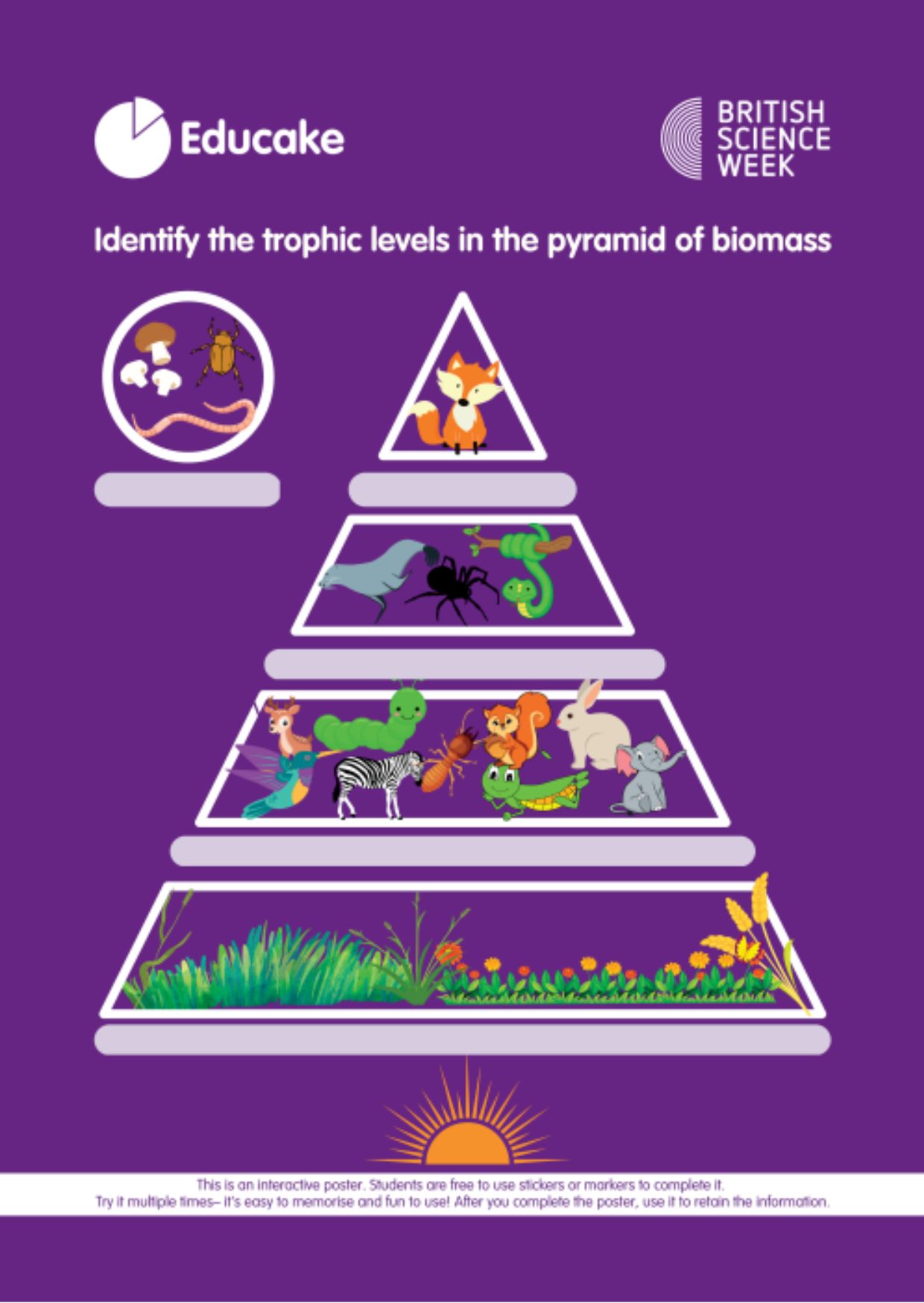 British Science Week: Free Interactive Posters | Educake